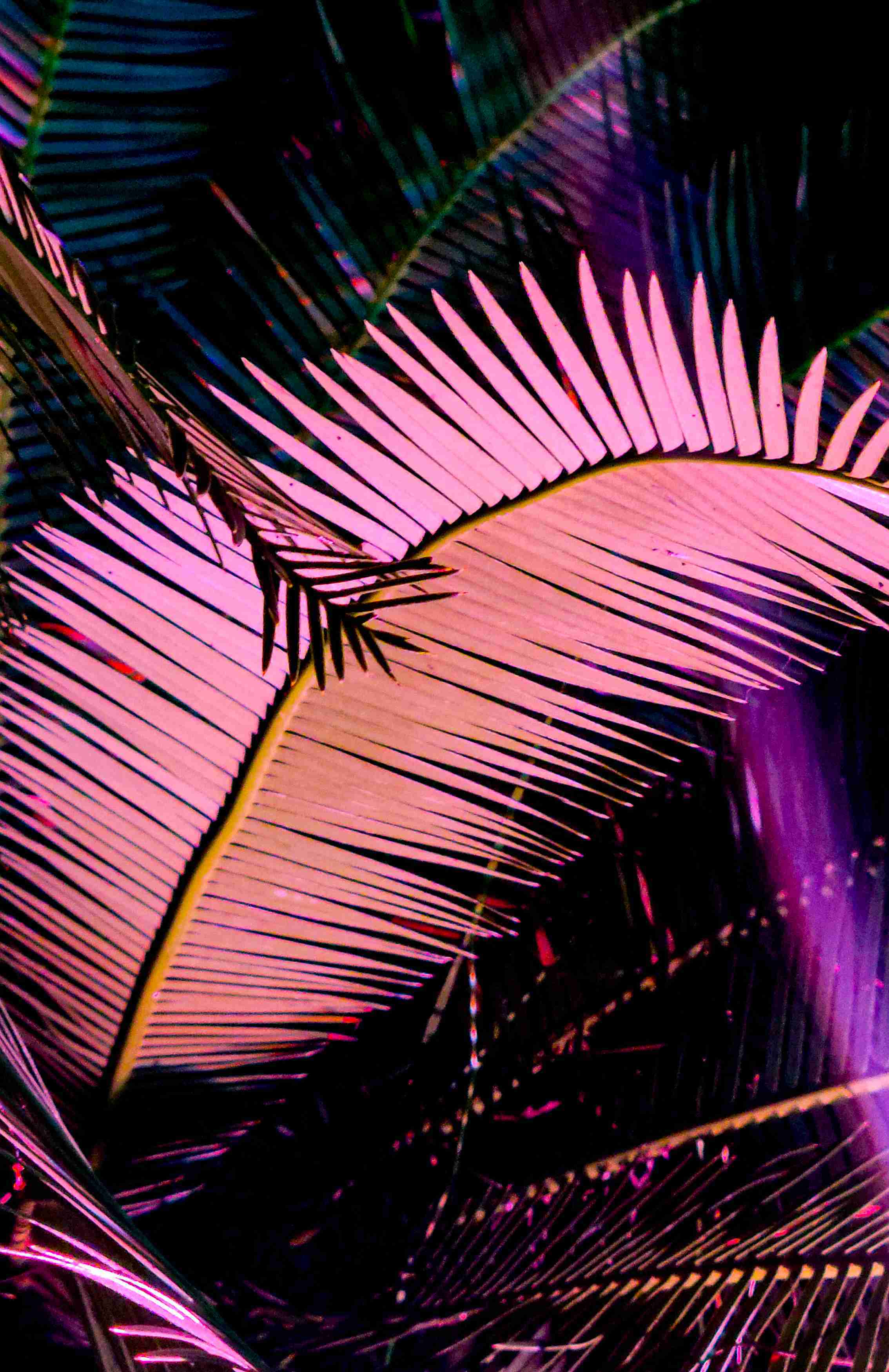 Field Trip Gallery - Treasure Coast Photography Center