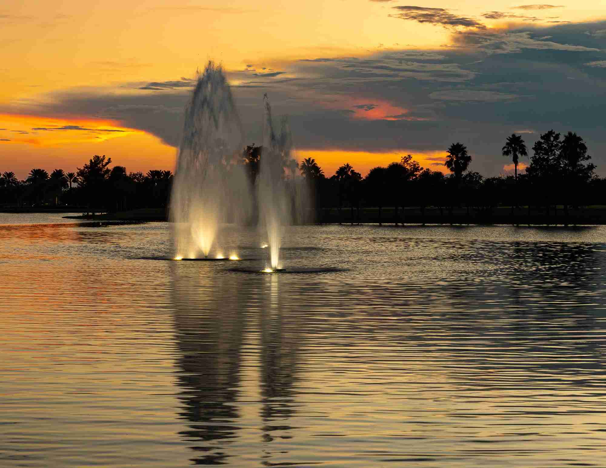 Field Trip Gallery - Treasure Coast Photography Center