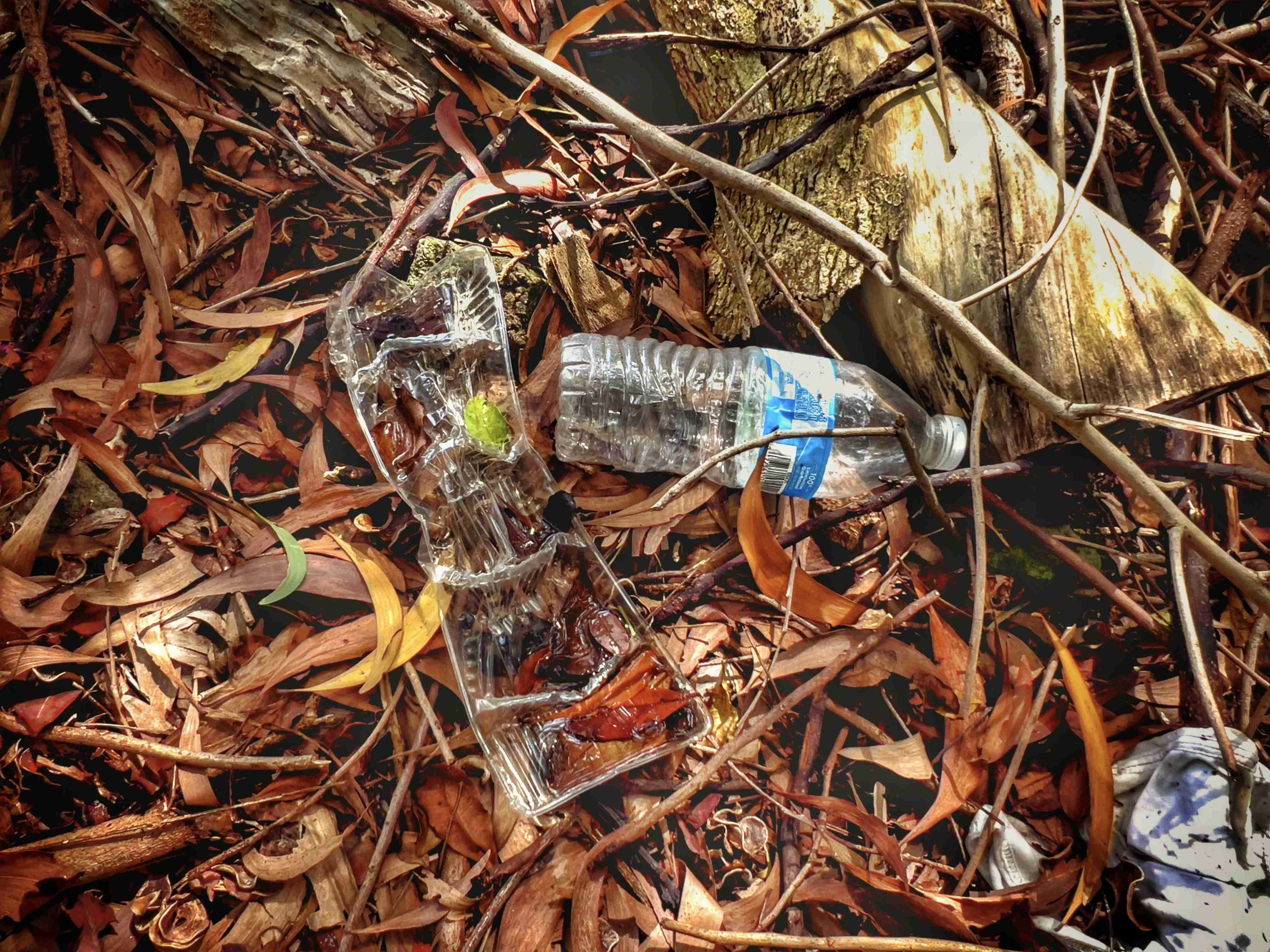 Field Trip Gallery - Treasure Coast Photography Center
