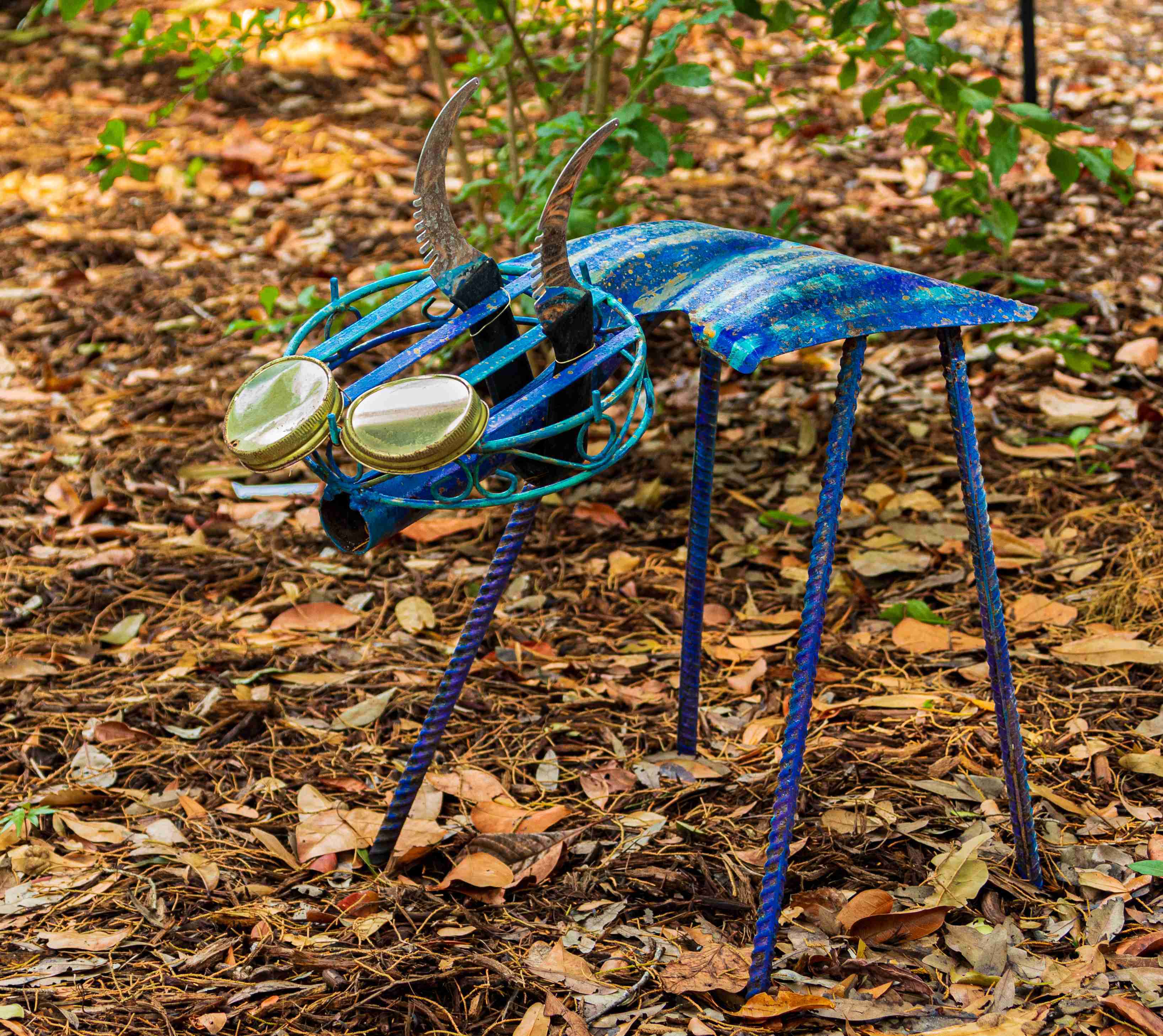 Field Trip Gallery - Treasure Coast Photography Center