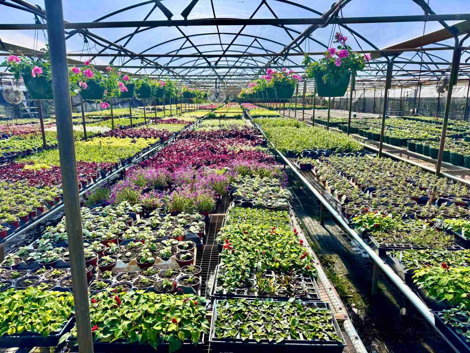 April 26 Pinders Nursery - Treasure Coast Photography Center